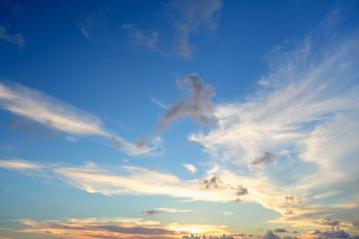 Song Of Hope | Beit Avi Chai